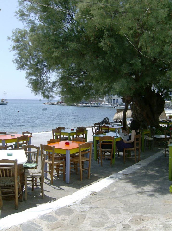 Το αλμυρίκι που ακρωτηριάστηκε - Βιώσιμες Κυκλάδες